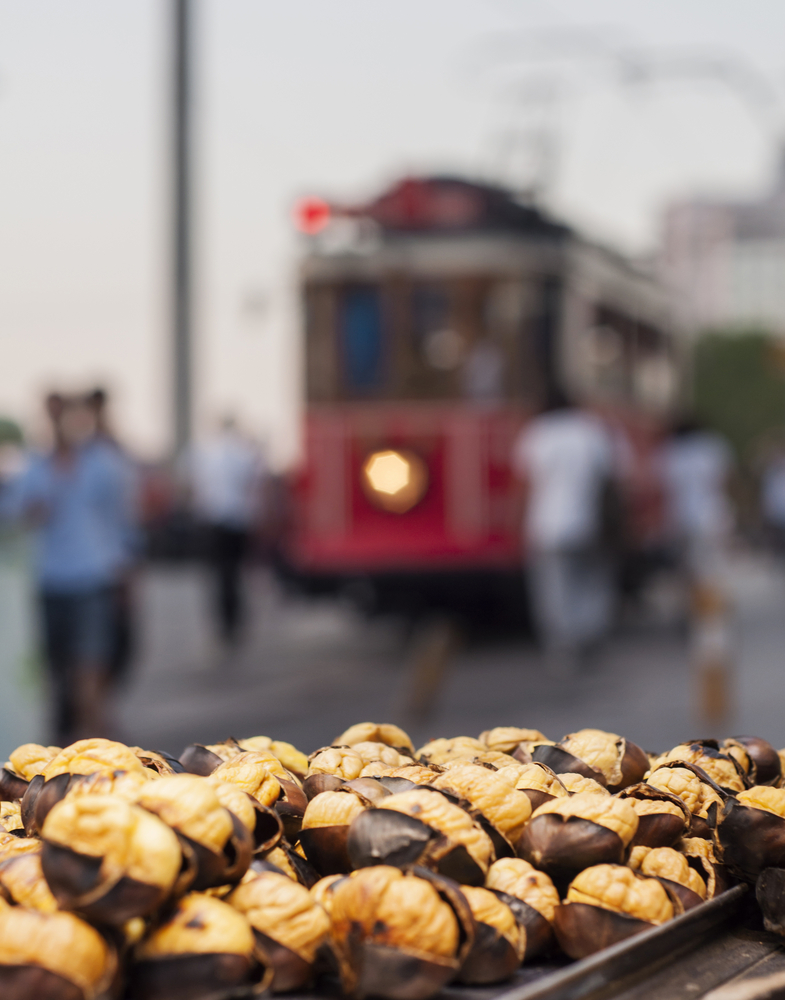 Kestane - | Pegasus Blog